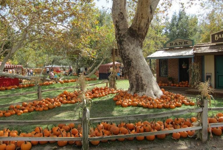 Southern California Halloween Events: A Spooky Guide (2026)
