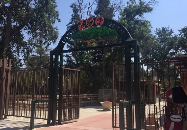 Uncover Atascadero: Top Things to Do on a Central Coast Day Trip
