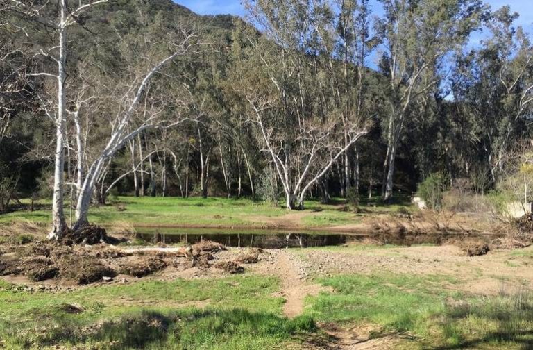 Day Trip to Peter Strauss Ranch -. Lake Enchanto Theme Park