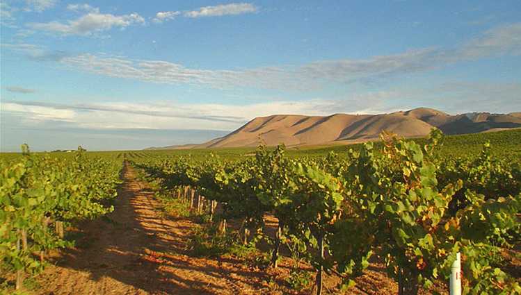 Santa Maria Central Coast Day Trip Things To Do
