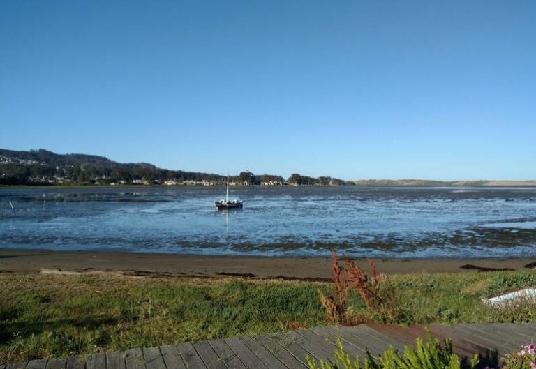 Los Osos/Baywood Park, California Day Trip: Nature, Wildlife & Coastal ...