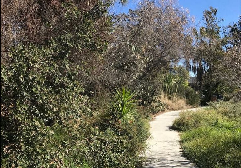 Southern California Botanical Gardens, Explore Nature's Wonders
