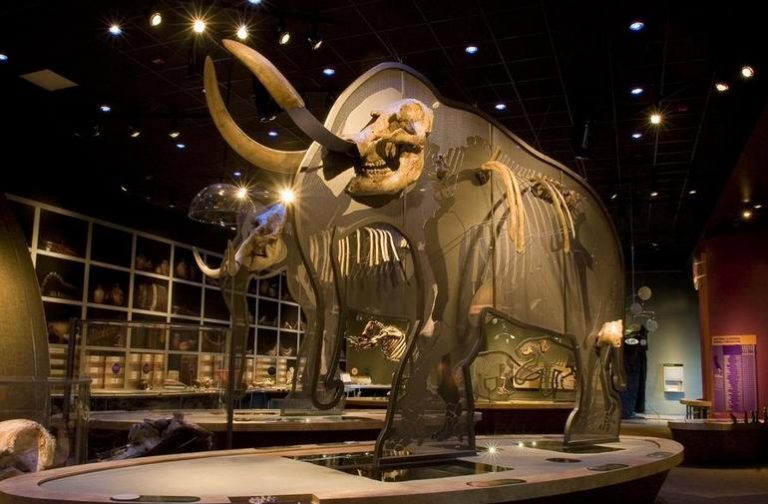 The Ultimate List of Southern California Museums