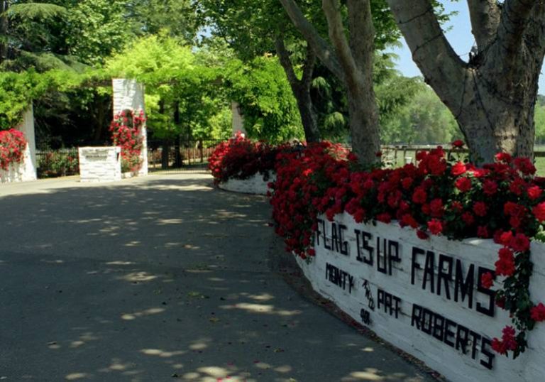 Solvang Day Trip Things To Do and See | Daytrippen.com