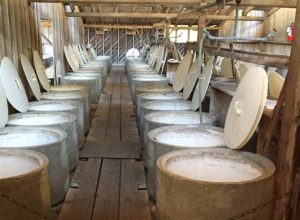 Graber Olive House Day Trip Tours Olive Tasting Ontario CA