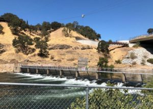Nimbus Fish Hatchery Day Trip: Salmon Ladders, Wildlife, and Adventures