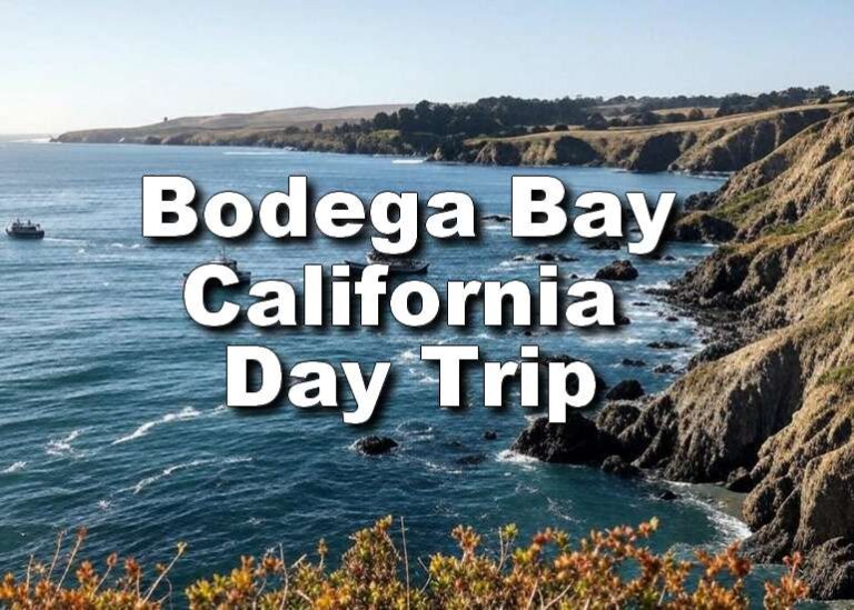 Bodega Bay Day Trip: A Detailed Guide of Attractions